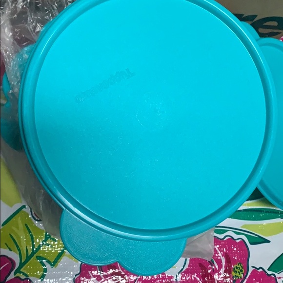 Tupperware | Kitchen | Tupperware Big Wonders Bowls Water Bottles ...